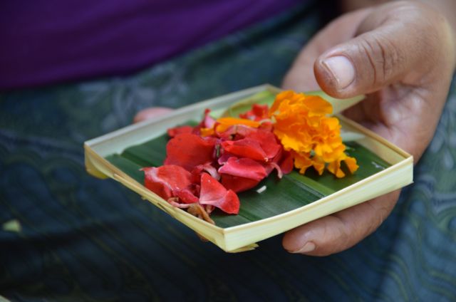A Lesson in Making Balinese Canang Sari – Travels with Tricia