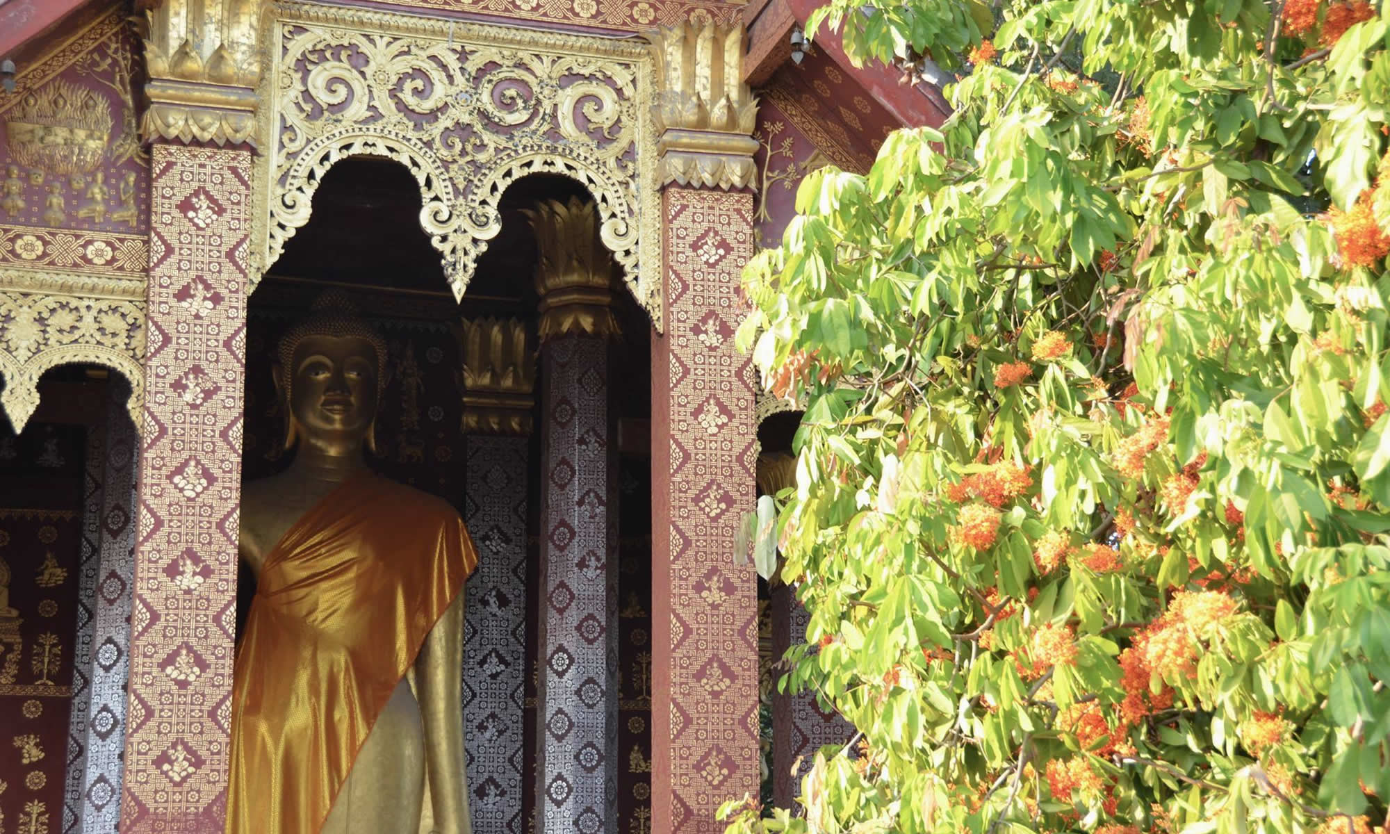 A Tranquil Daydream in Luang Prabang, Laos – Travels with Tricia