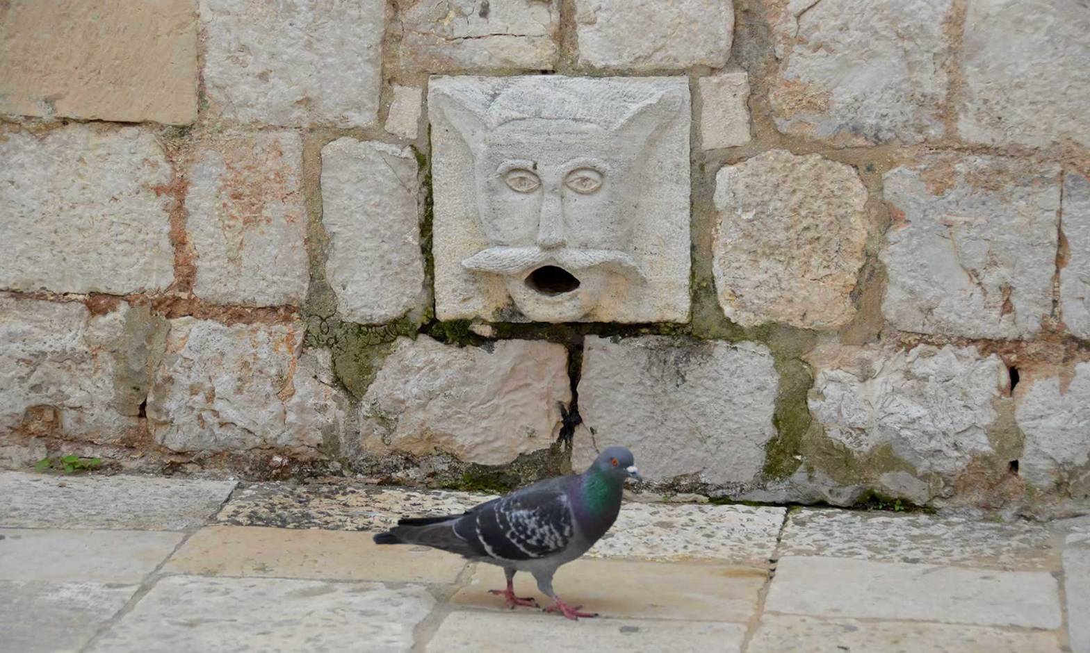 The Details of Dubrovnik – Meet the Maskerons – Travels With Tricia