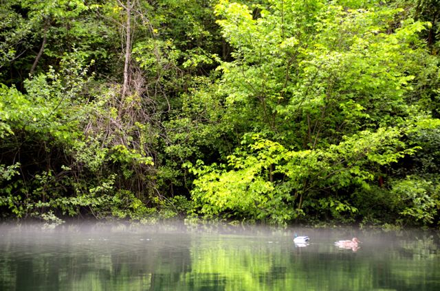 The Perfect Skopje Excursion: Exploring North Macedonia’s Matka Canyon ...