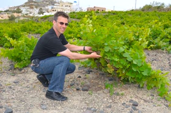 Santorini Wine: From an Eruption to Effervescence – Travels with Tricia