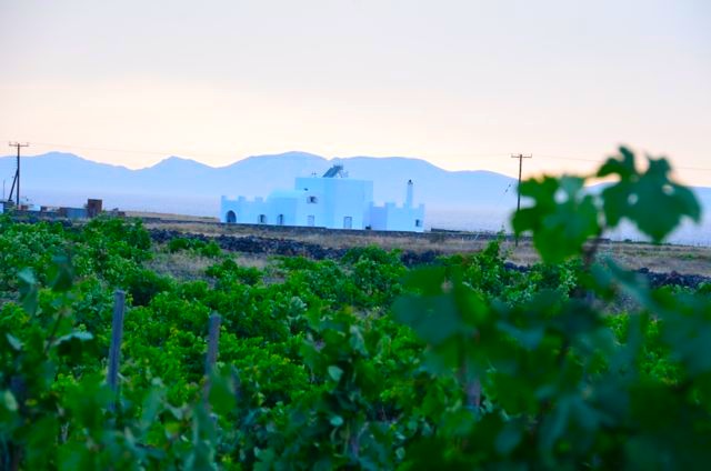 Santorini Wine: From an Eruption to Effervescence – Travels with Tricia