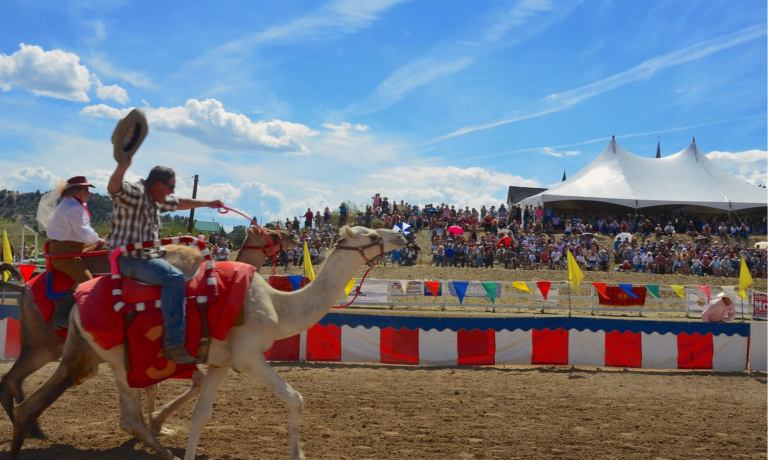 A Day at the Virginia City Camel & Ostrich Races – Travels with Tricia