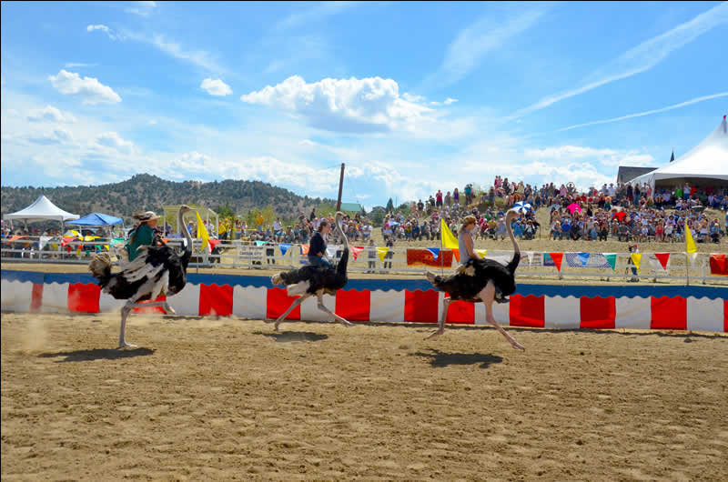 A Day at the Virginia City Camel & Ostrich Races – Travels with Tricia