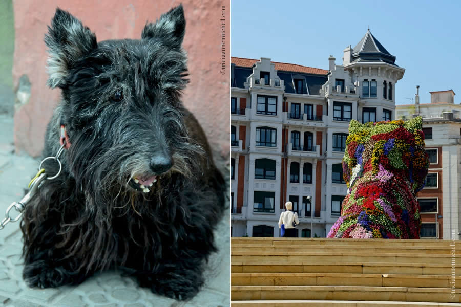 Bilbao’s Guggenheim Museum and Its “Pet” Exhibit, Puppy – Travels with ...