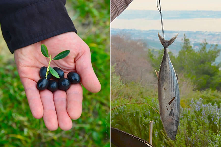 Croatian Food & Wine at 400 Meters: A Sunday in Split – Travels with Tricia