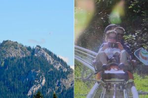 Curvy Exhilaration: Riding the Alpine Coaster in Oberammergau, Germany ...