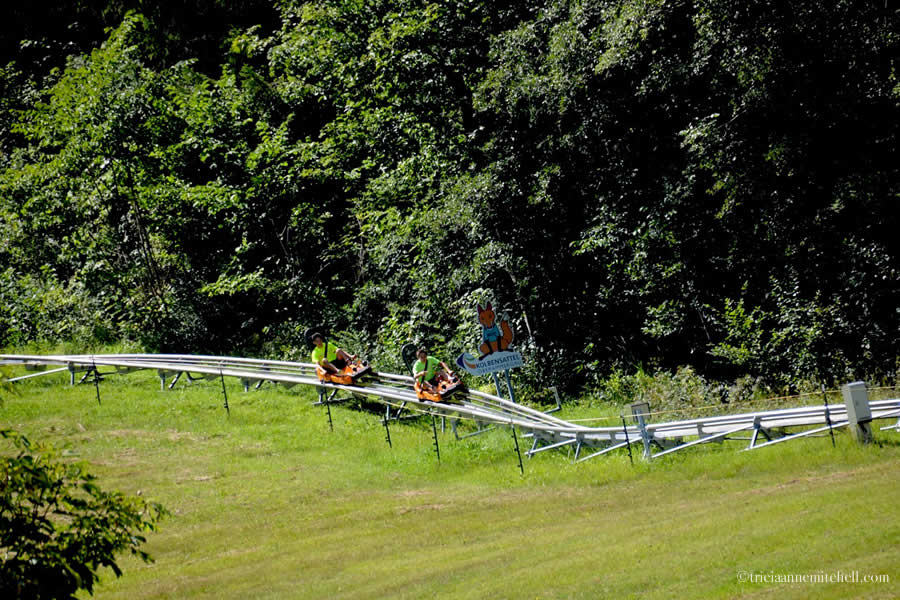 Curvy Exhilaration: Riding the Alpine Coaster in Oberammergau, Germany ...