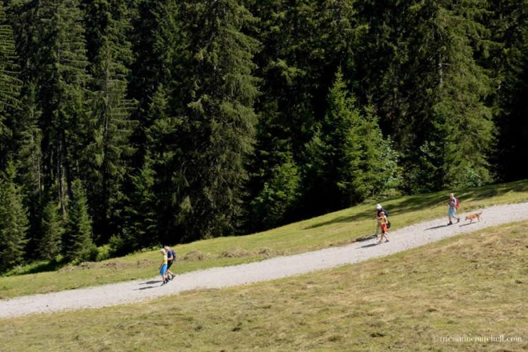 Curvy Exhilaration: Riding the Alpine Coaster in Oberammergau, Germany ...