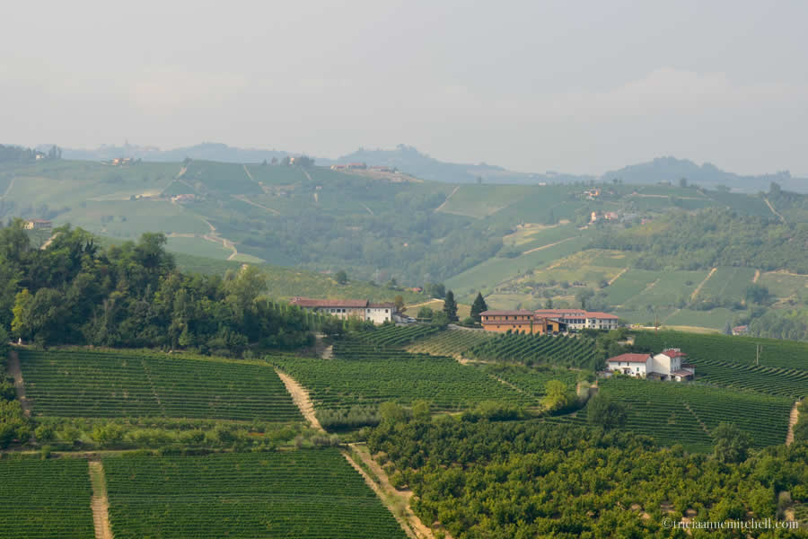 Piedmont, Italy: The Wine Landscapes of the Langhe – Travels with Tricia