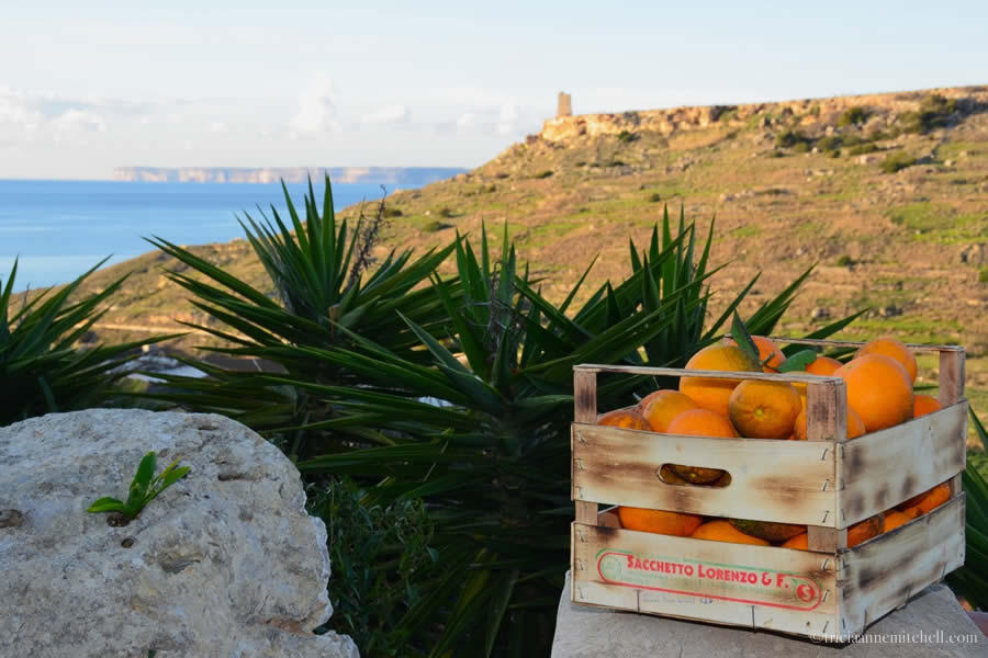 Of Orange Groves & Tangerine Sunsets: An Ecotour in Rural Malta ...