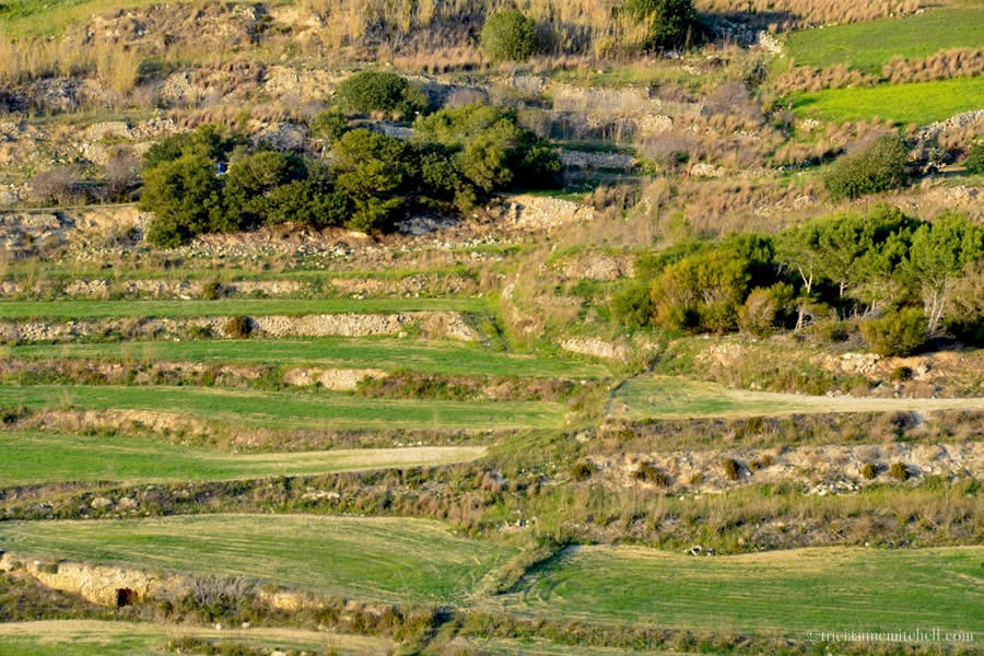 Of Orange Groves & Tangerine Sunsets: An Ecotour in Rural Malta ...