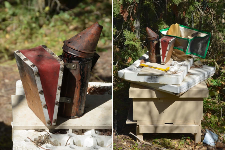 A Bittersweet Introduction to Malta’s Celebrated Honey and Bees ...