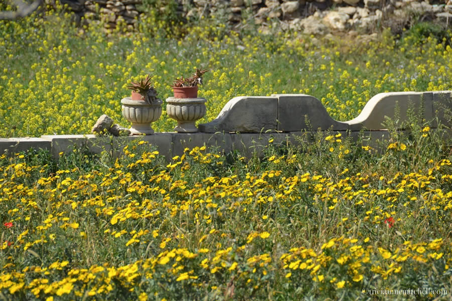 A Bittersweet Introduction to Malta’s Celebrated Honey and Bees ...