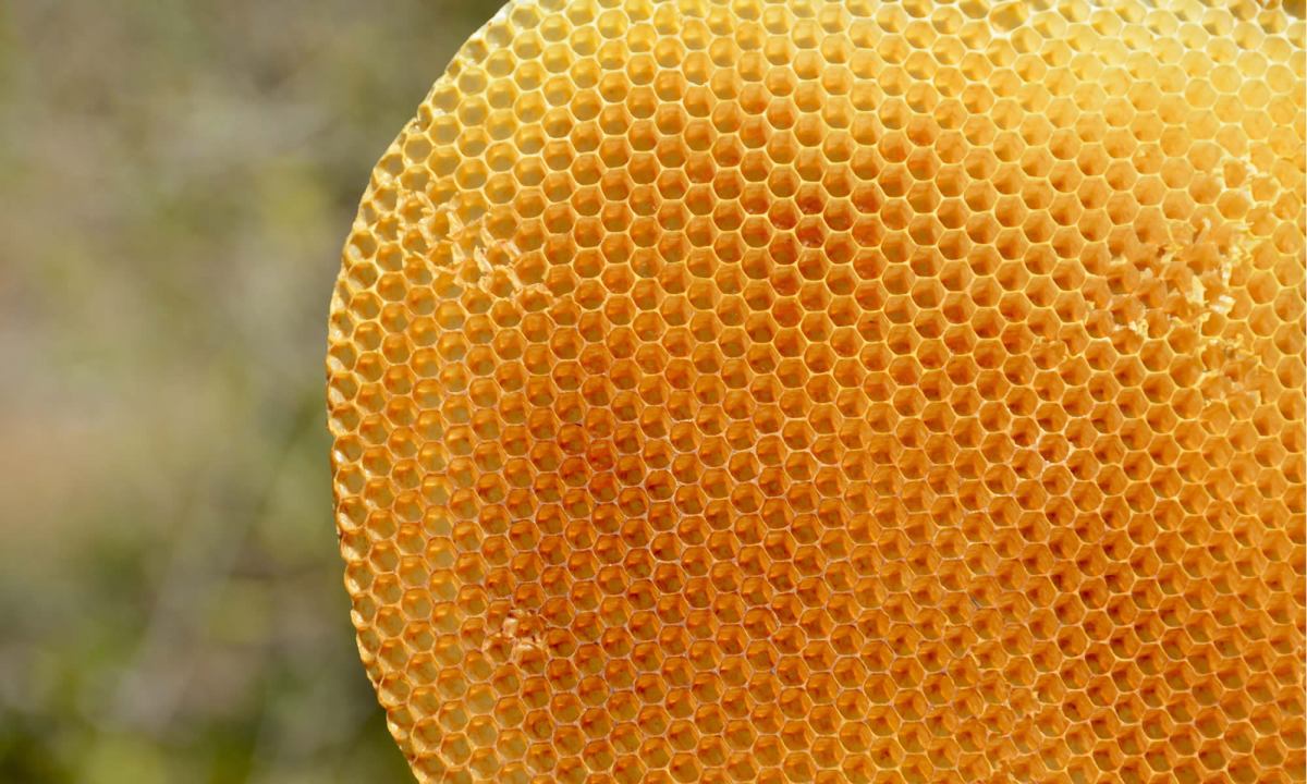 A Bittersweet Introduction to Malta’s Celebrated Honey and Bees ...