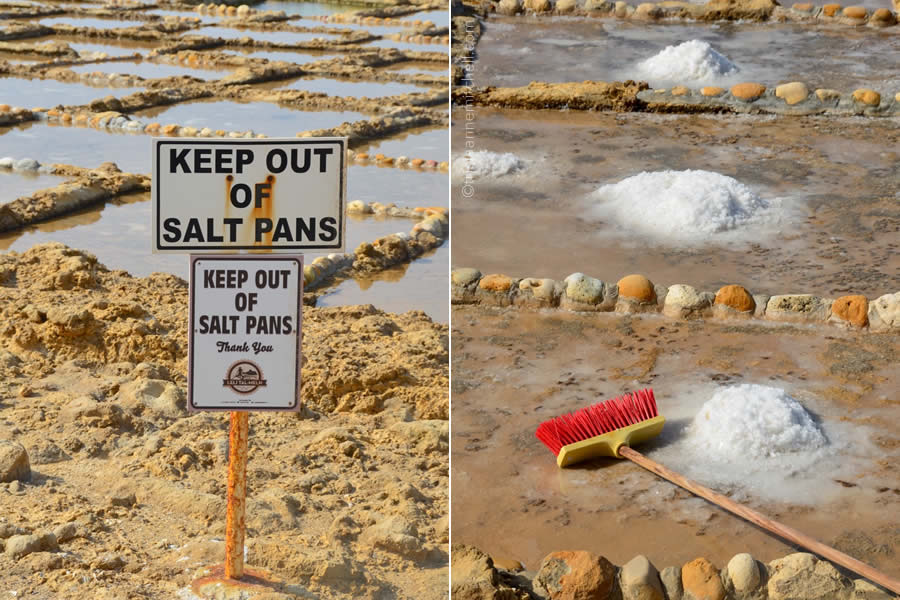 Harvesting Sea Salt on the Maltese Island of Gozo – Travels with Tricia