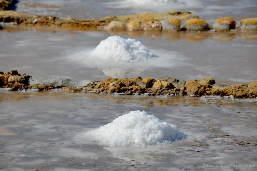 Harvesting Sea Salt on the Maltese Island of Gozo – Travels with Tricia