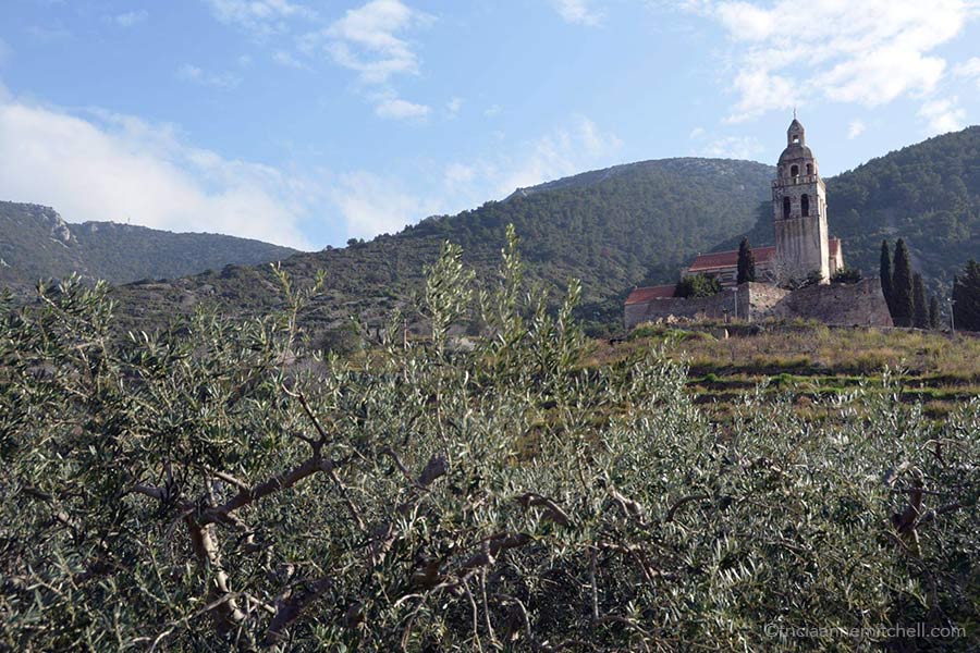 komiza-st-nicholas-church-olive-tree-croatia – Travels with Tricia